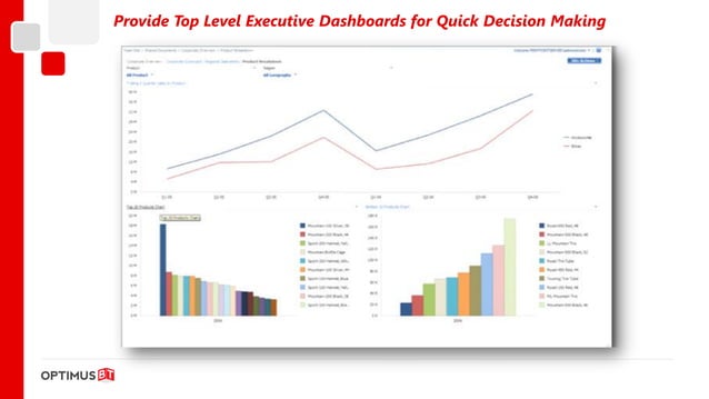 Business Intelligence, Portals, Dashboards and Operational Matrix with ...