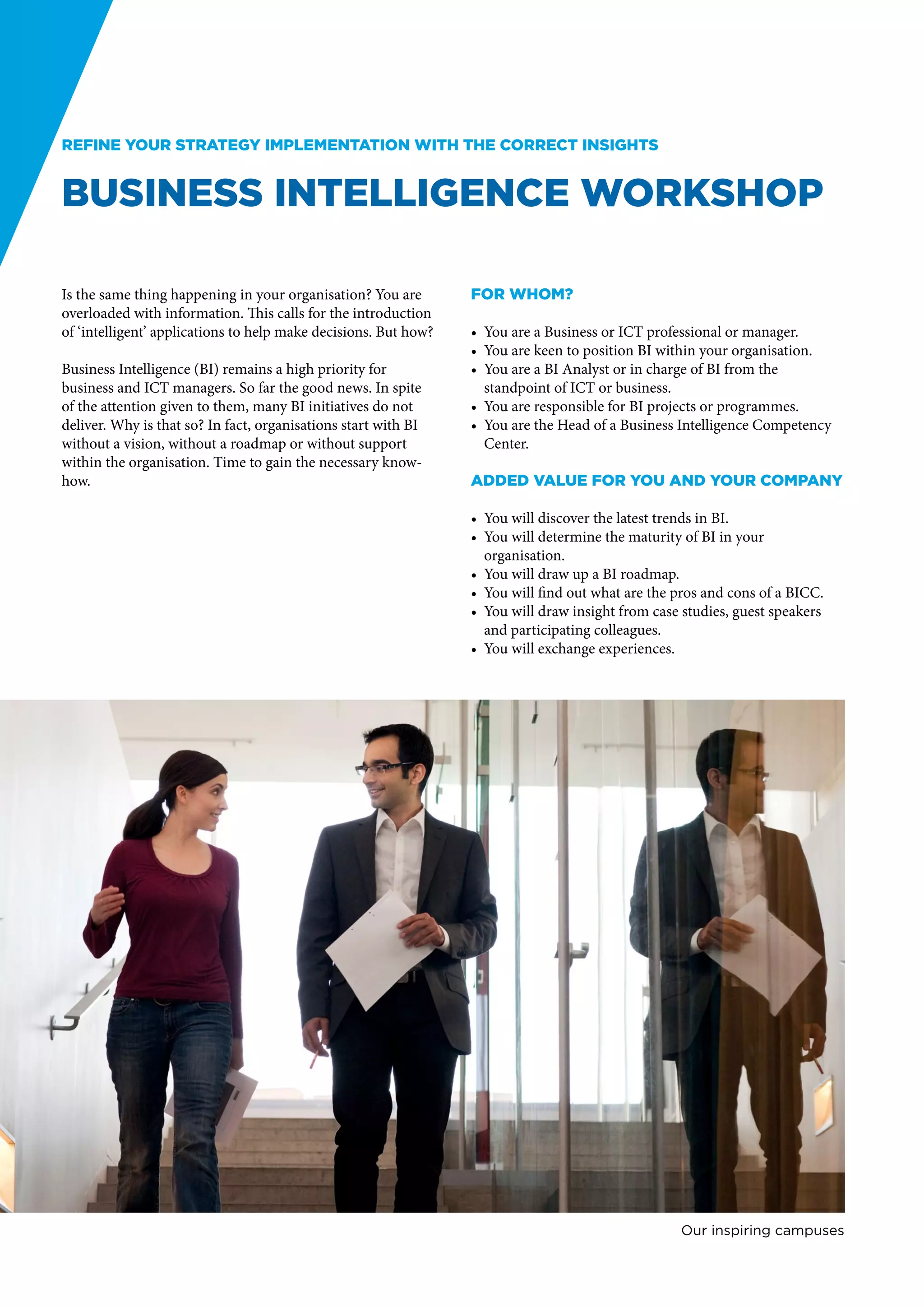 Brochure Business intelligence workshop | PDF