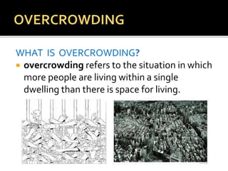 Health in the Working Environment | PPT