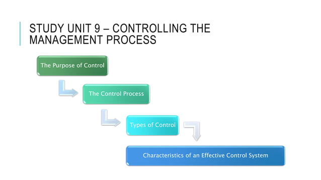 Business Management - MNB1501 Overview | PPTX | Green Solutions | Business