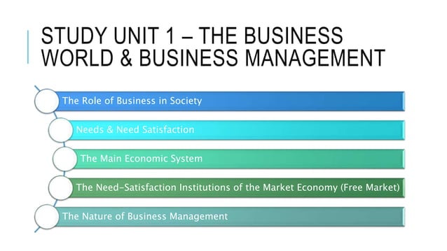Business Management - MNB1501 Overview | PPTX | Green Solutions | Business
