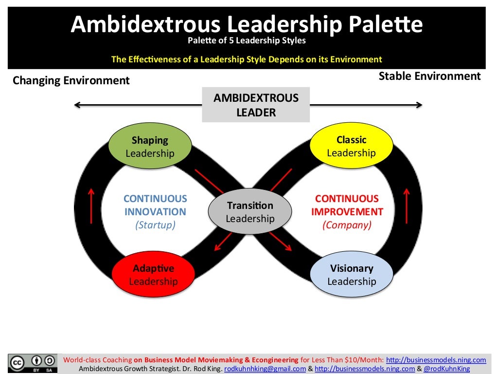 THE AMBIDEXTERITY PRINCIPLE: How Ambidextrous Leaders, Strategists, a…