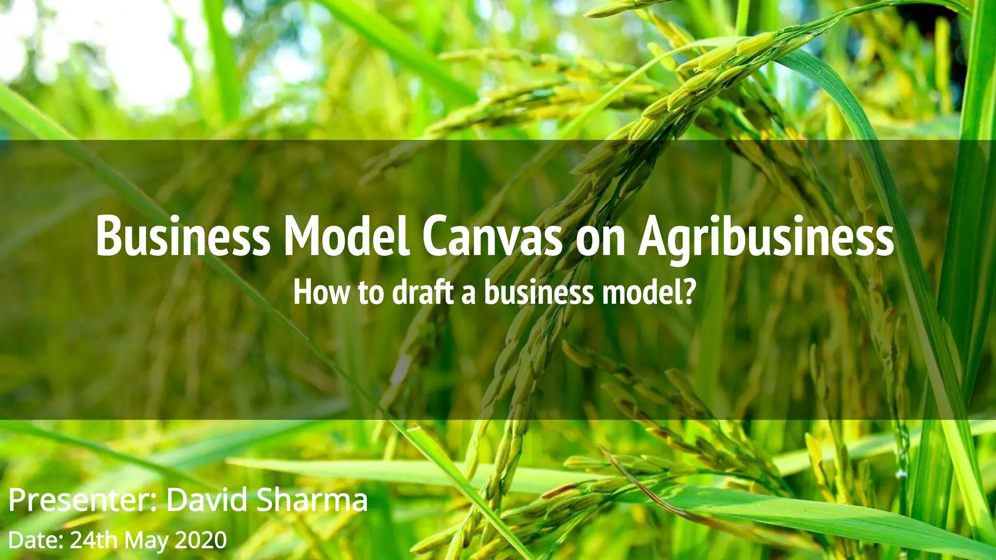 Business Model Canvas for Agribusiness in Nepal | PPTX