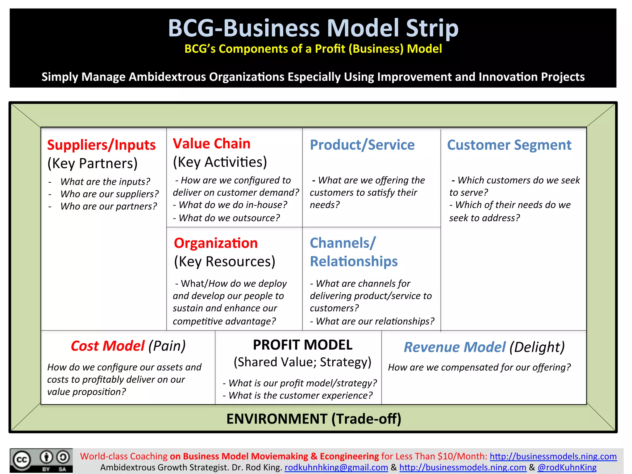 BCG-Business Model Strip: Rapidly Manage PROFIT IMPROVEMENT AND ...