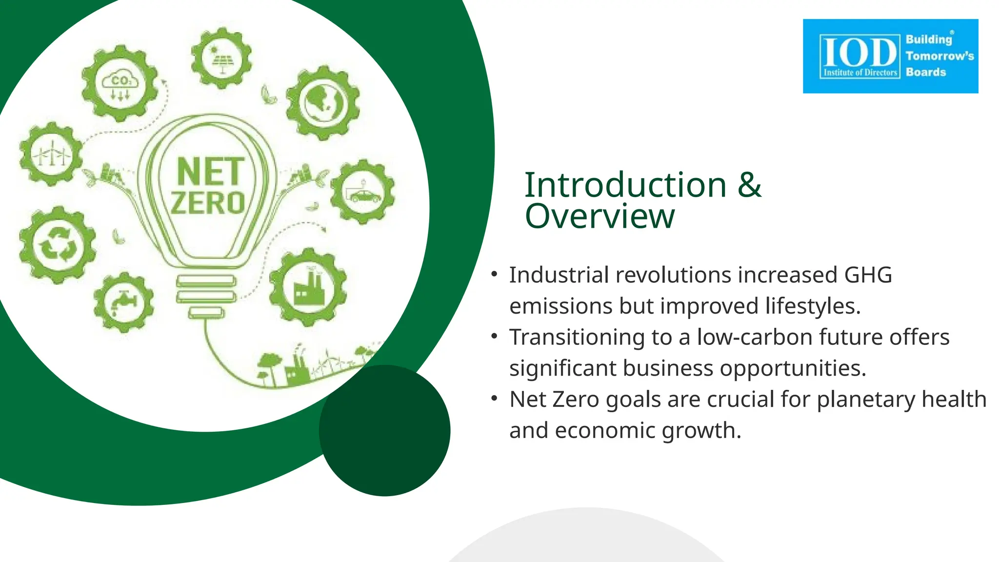 Business Opportunities in Decarbonisation, Renewable Energy, and Net Zero.pptx