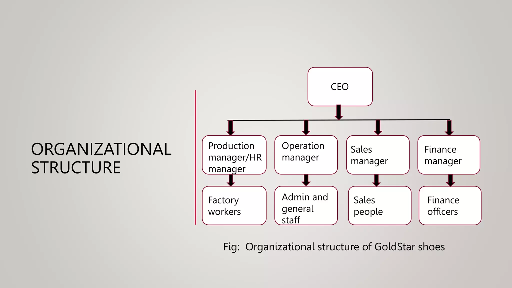 business organization (2).pptx
