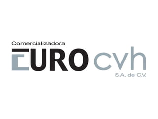 Business overview euro cvh oficial | PPT