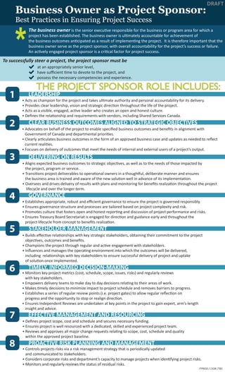 Business Owner as Project Sponsor Best Practices | PDF