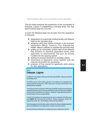 Philippine Business Permits Licensing Process | PDF