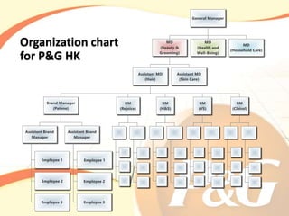 Evaluating the organization design of P&G HK | PPTX