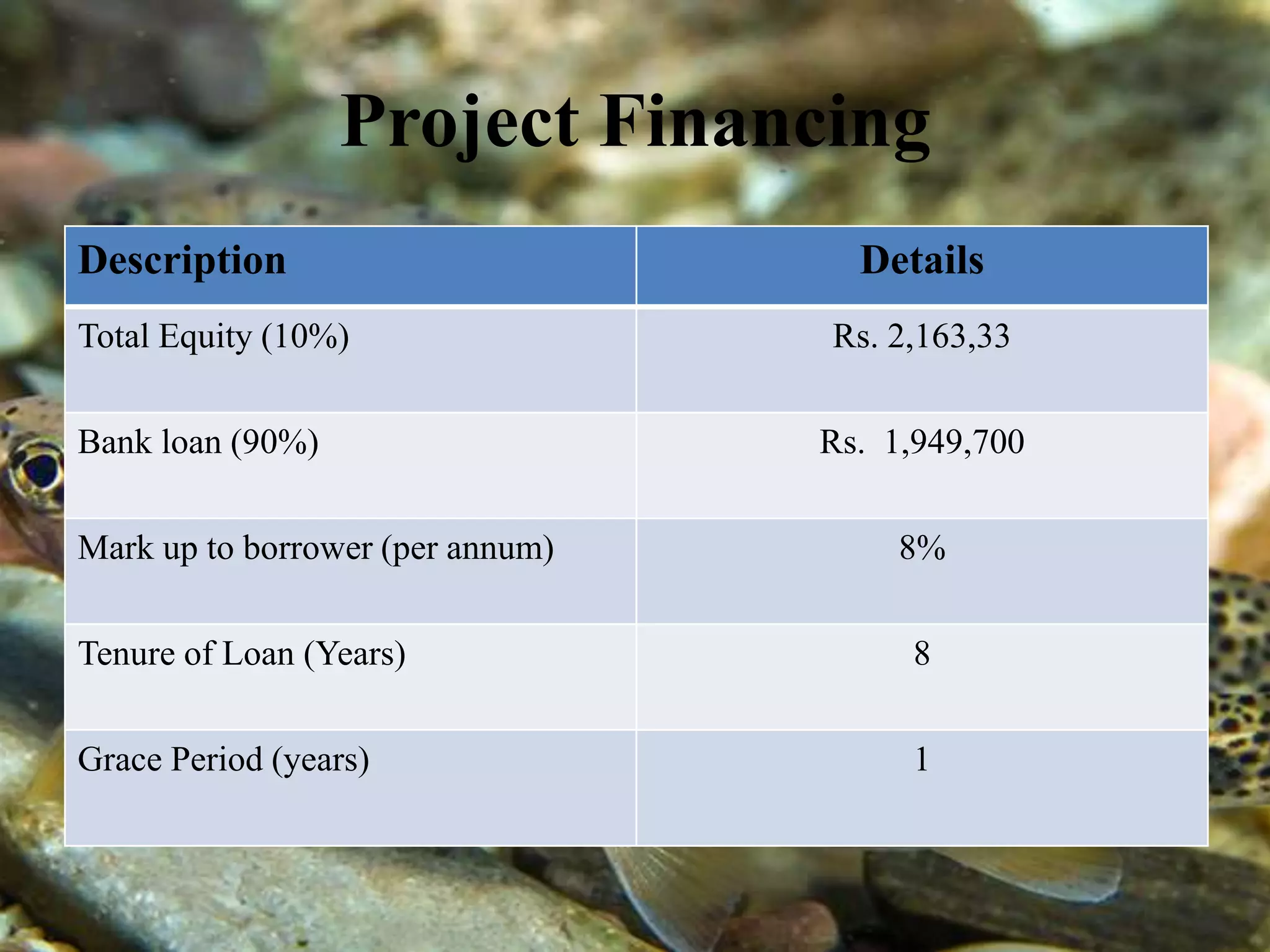 Trout Fish Farming Business plan | PPTX