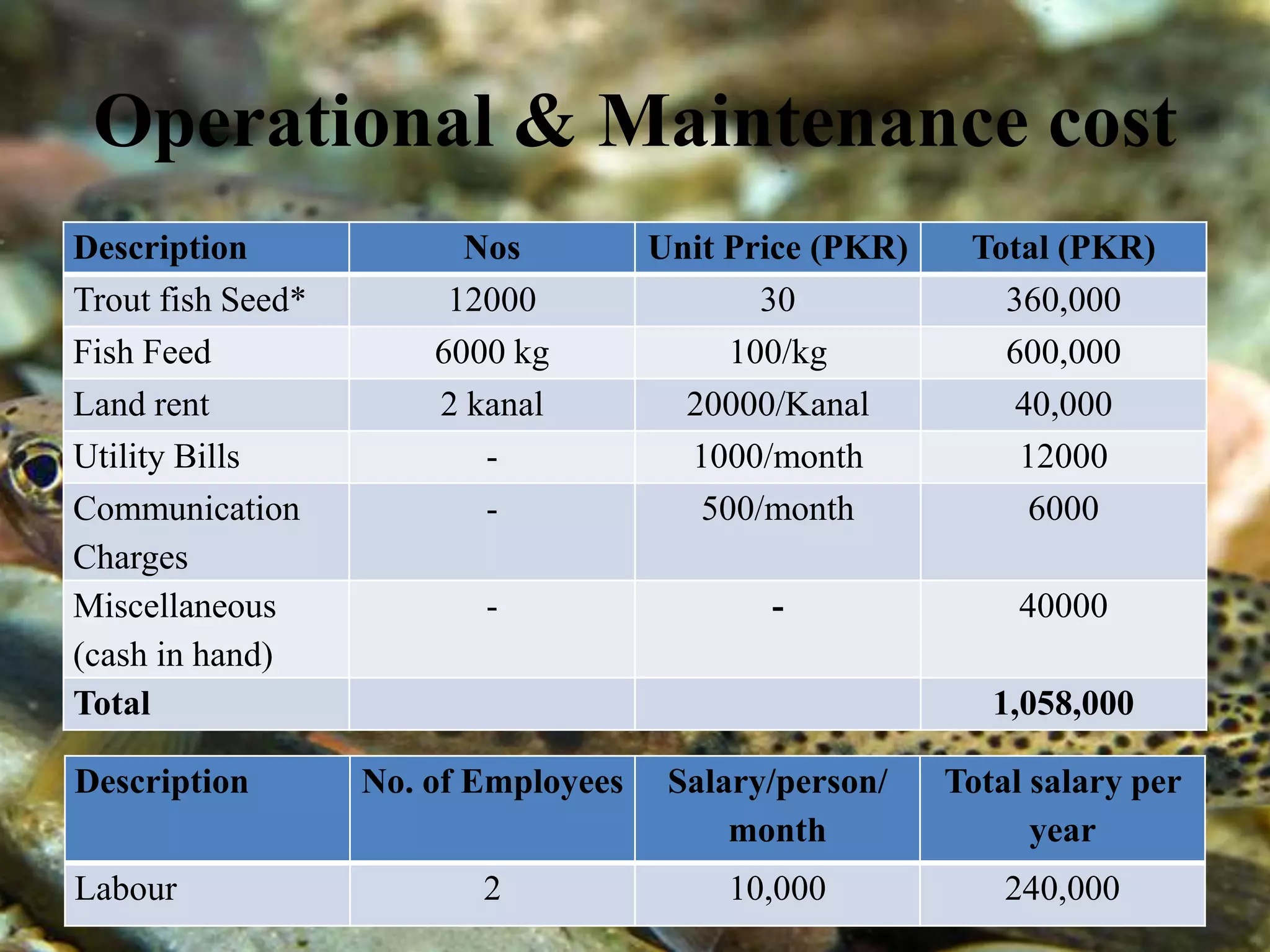 Trout Fish Farming Business plan | PPTX