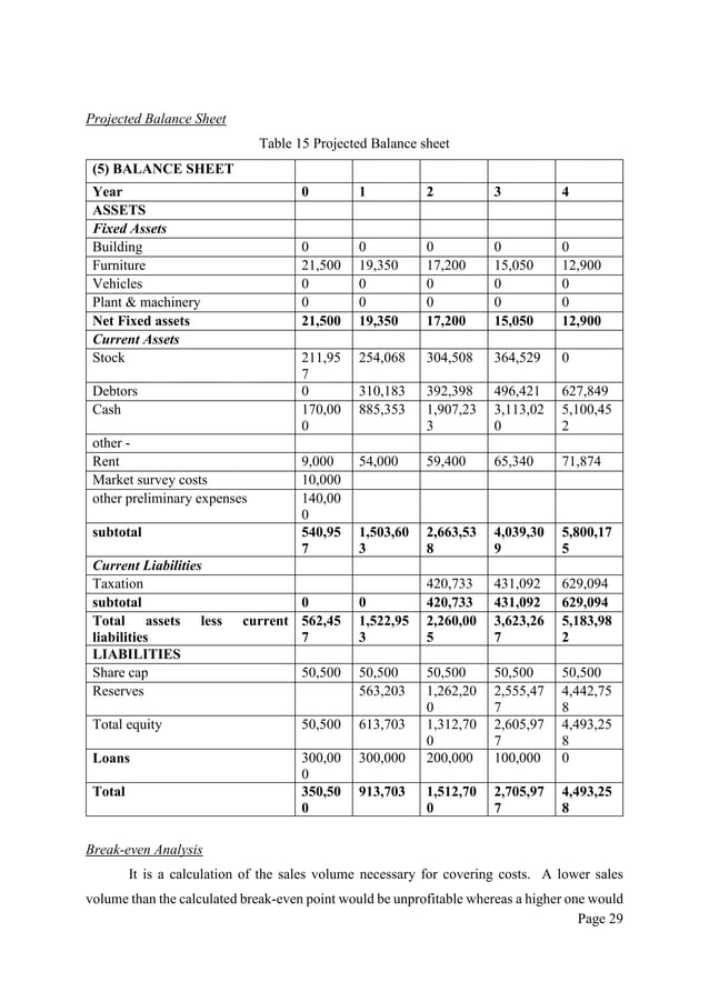 Business Plan Assignment Sample | PDF