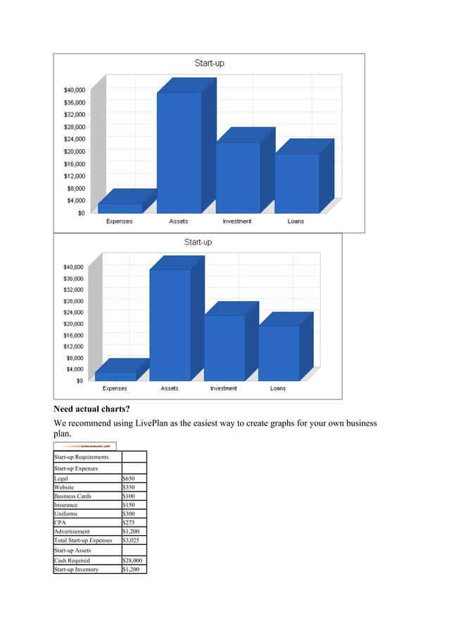 Business plan computer_repair.docx