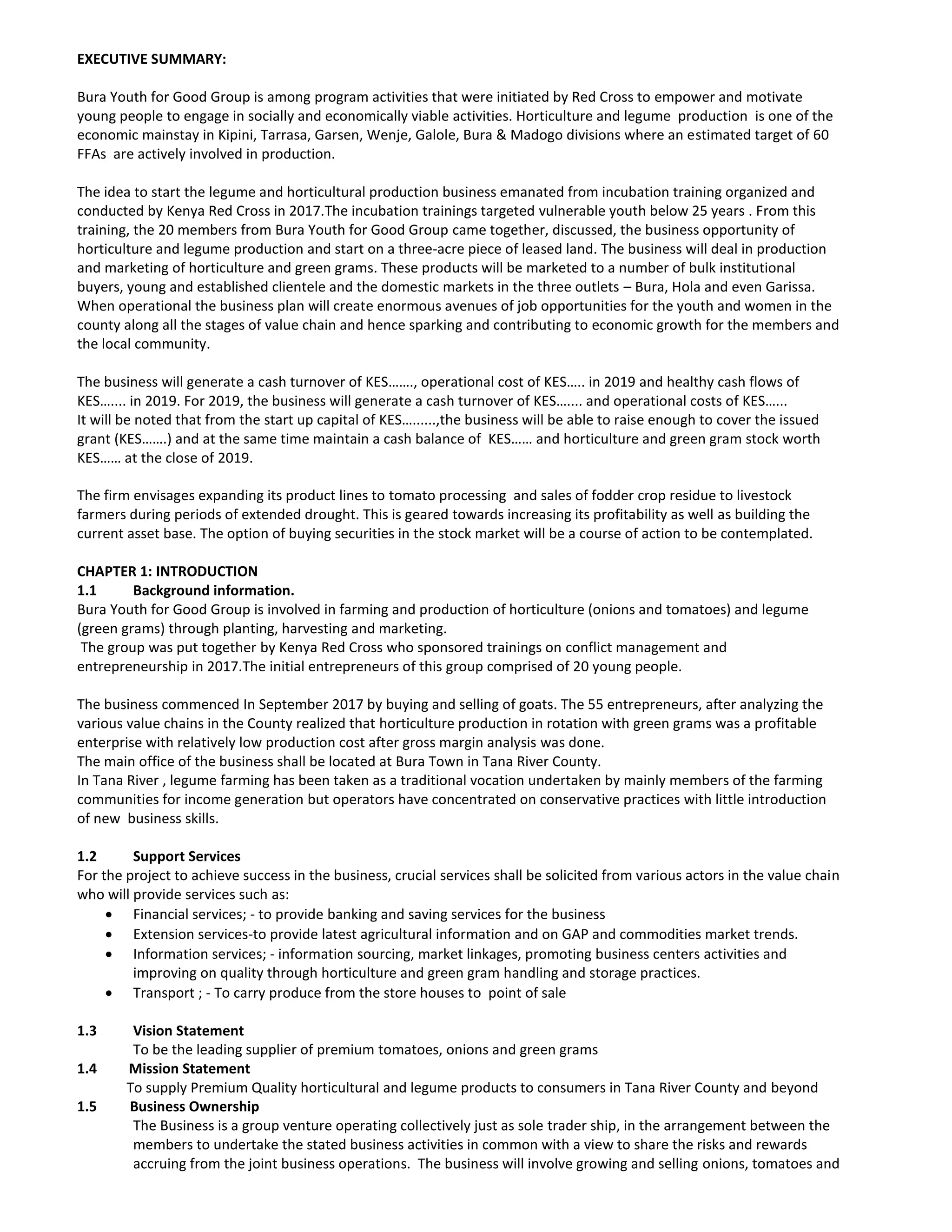BUSINESS PLAN FOR BURA YOUTH GRP FOR GOOD.docx