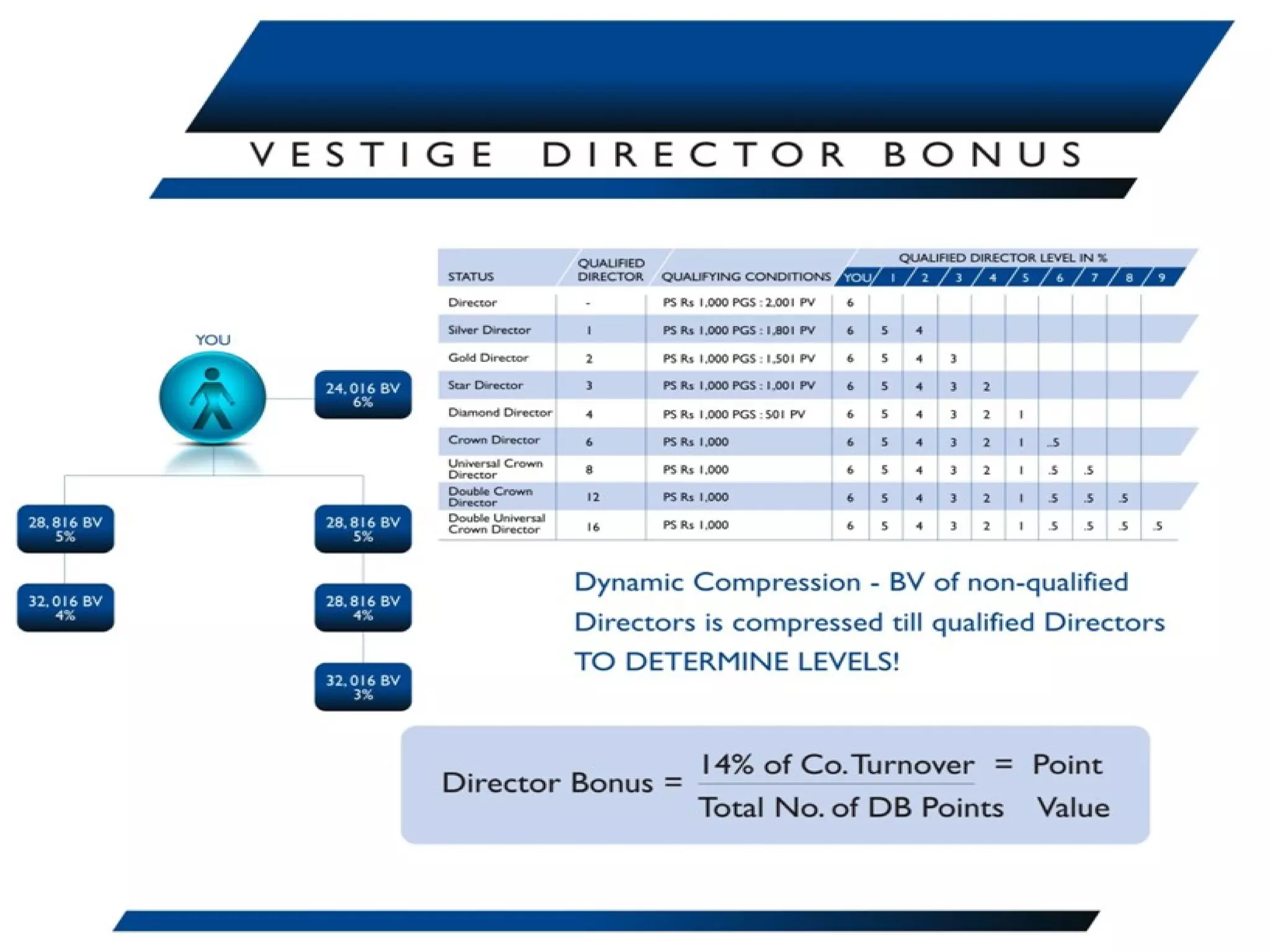 Vestige success Plan | PPT