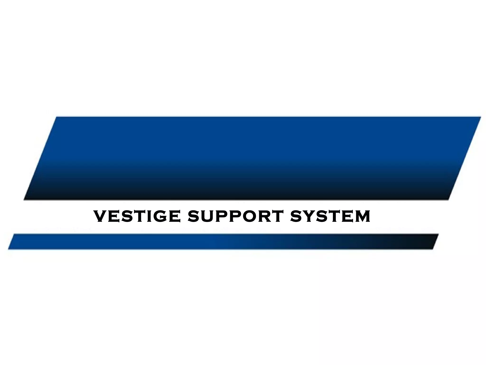 Vestige success Plan | PPT