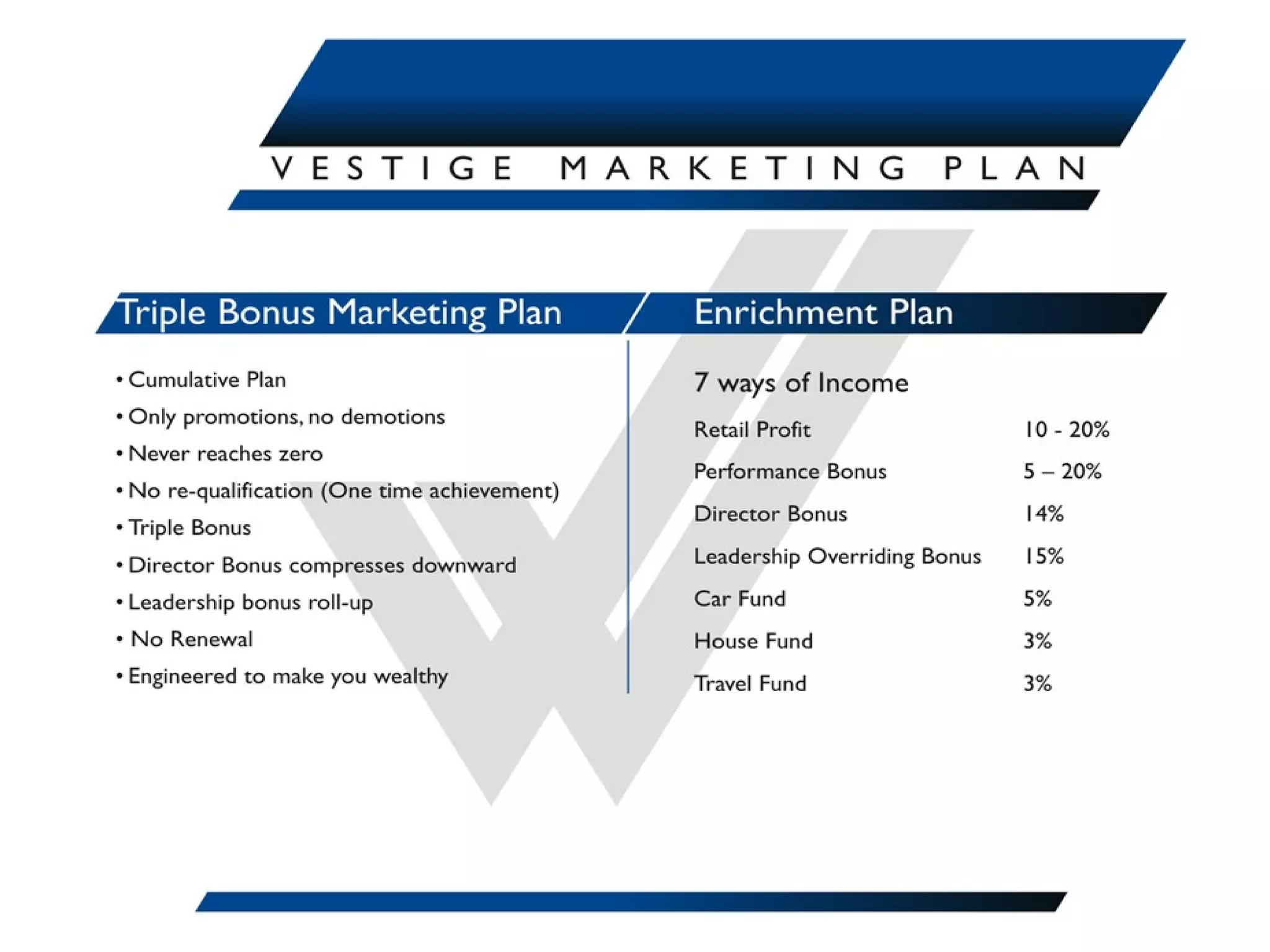 Vestige success Plan | PPT