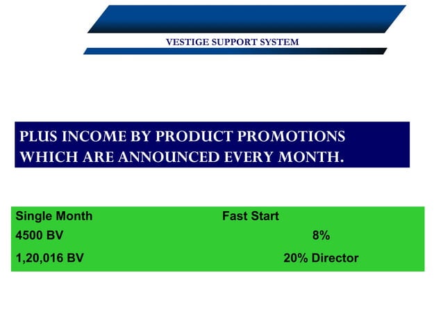 Vestige success Plan | PPT