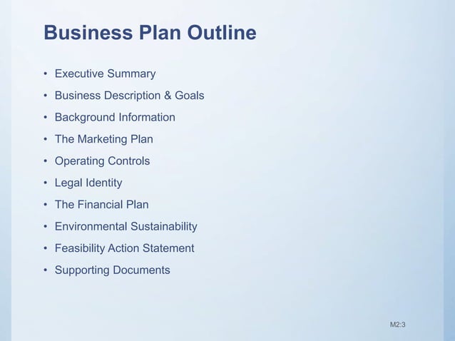 business_planning_basics_amy_shapiro.pptx