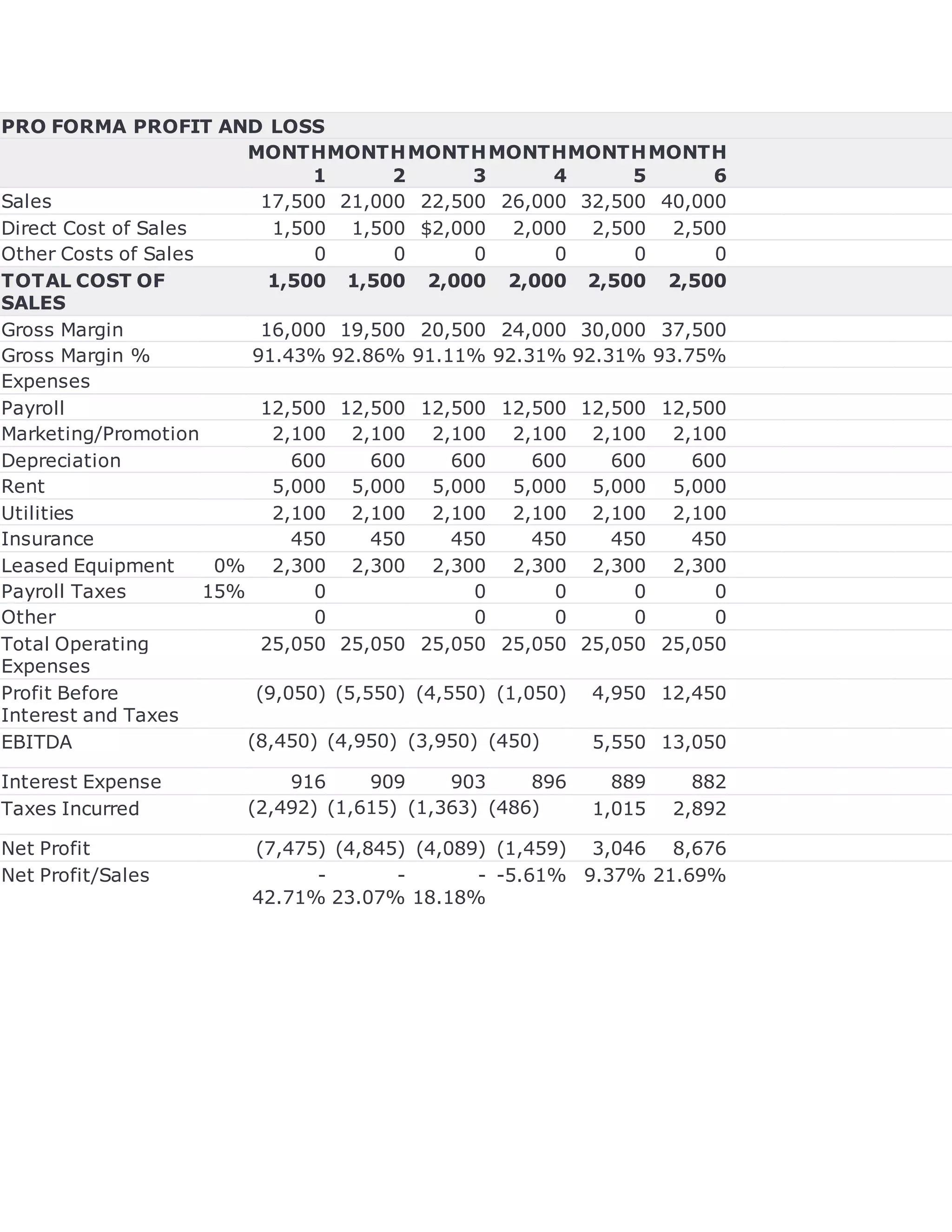BUSINESS PLAN PROJECT SAMPLE | DOCX