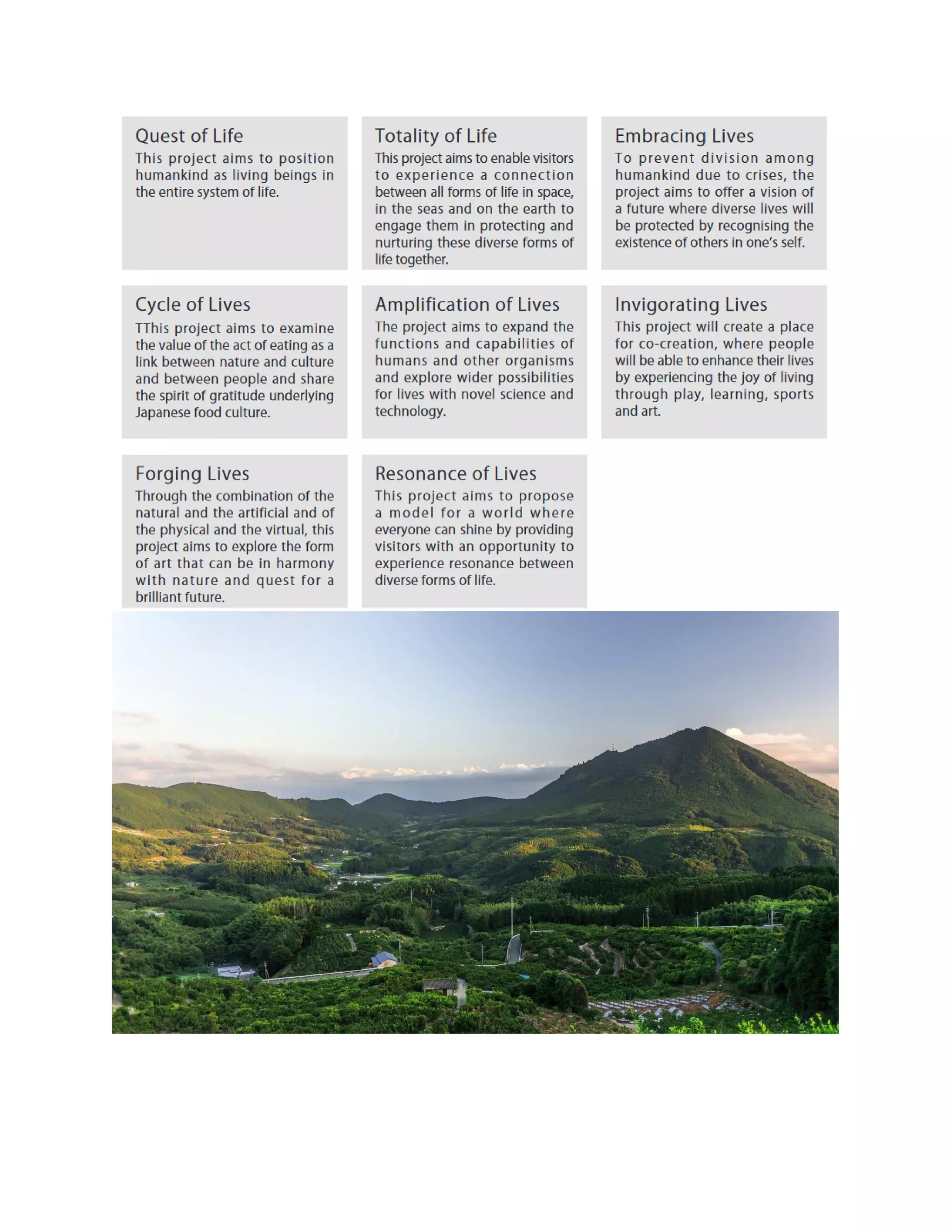Business Plan The Future Is Pinku Designing Future - Society for Our ...
