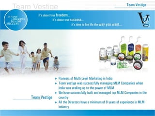 Vestige Business Plan | PPS