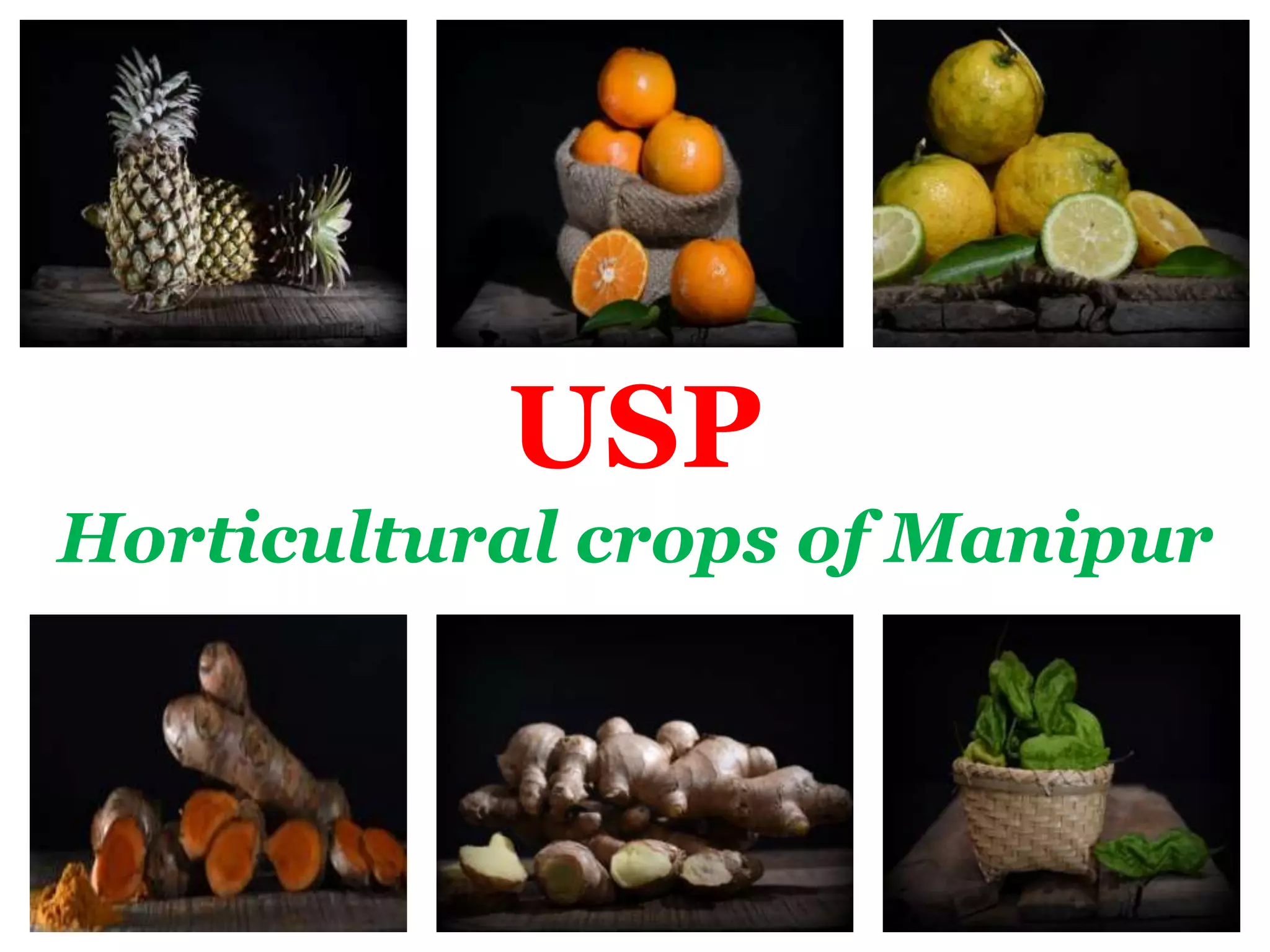 Business potential of horticultural crops of manipur | PPTX