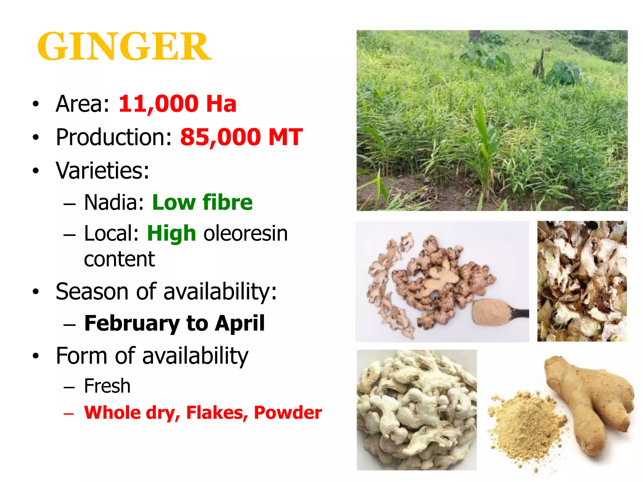 Business potential of horticultural crops of manipur | PPTX