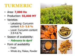 Business potential of horticultural crops of manipur | PPTX