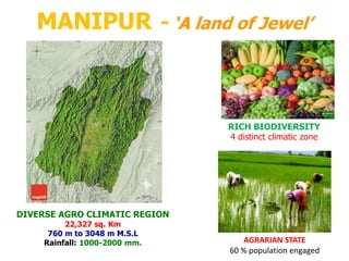 Business potential of horticultural crops of manipur | PPTX