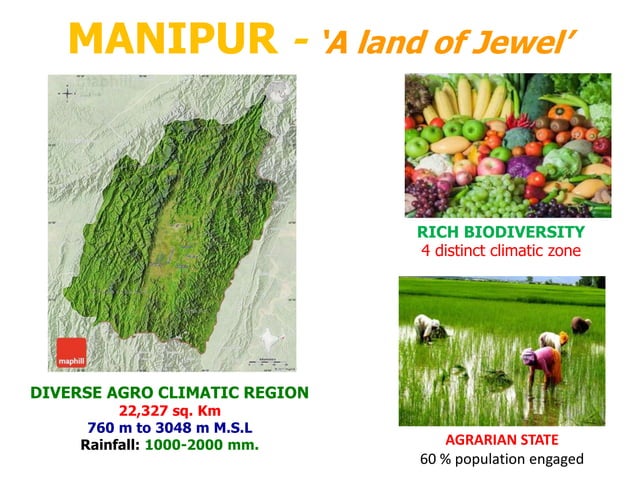 Business potential of horticultural crops of manipur | PPTX ...
