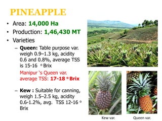 Business potential of horticultural crops of manipur | PPTX