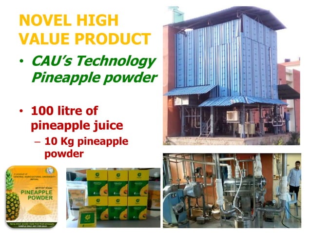 Business potential of horticultural crops of manipur | PPTX ...