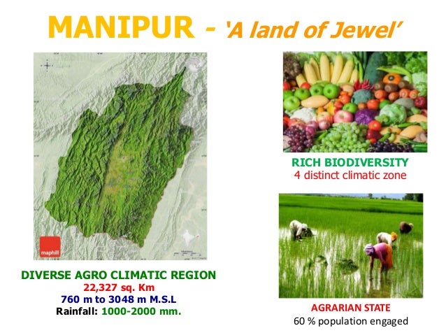 Business potential of horticultural crops of manipur