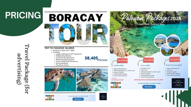 BUSINESS PRESENTATION-RANISES.pptx | Business | Business and Finance