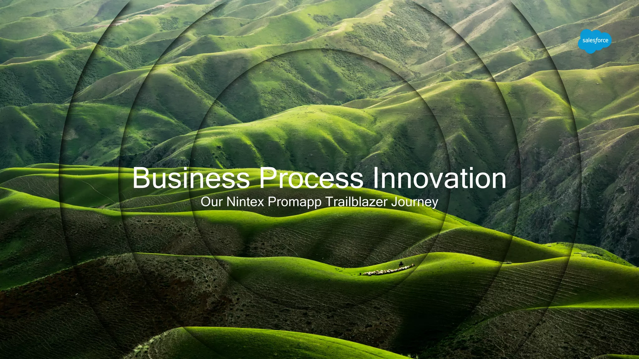 Business Process Innovation at Salesforce: Our Nintex Promapp ...