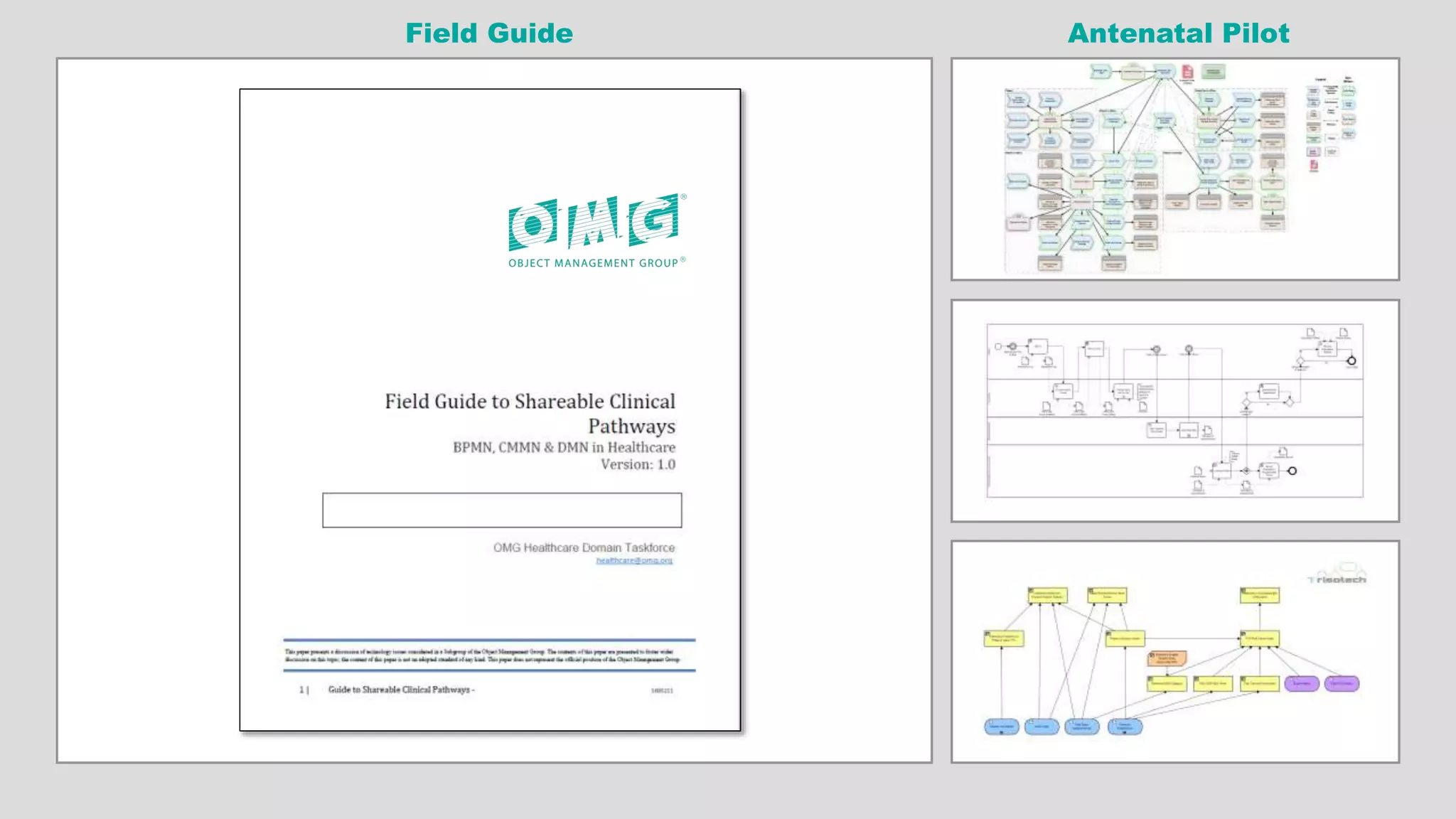 Business Process Management and its evolution An ACOG example - steve ...