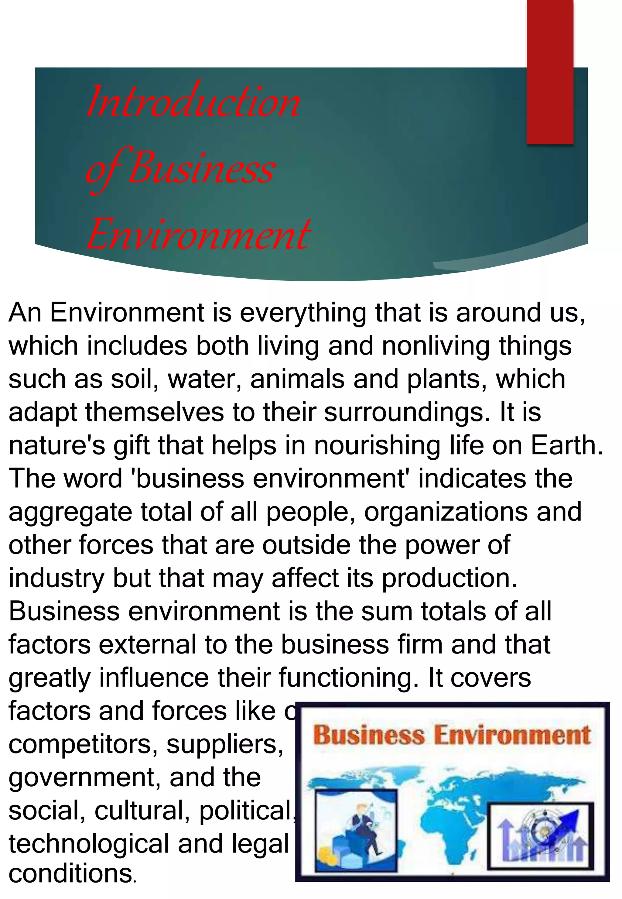 Business project.pptx