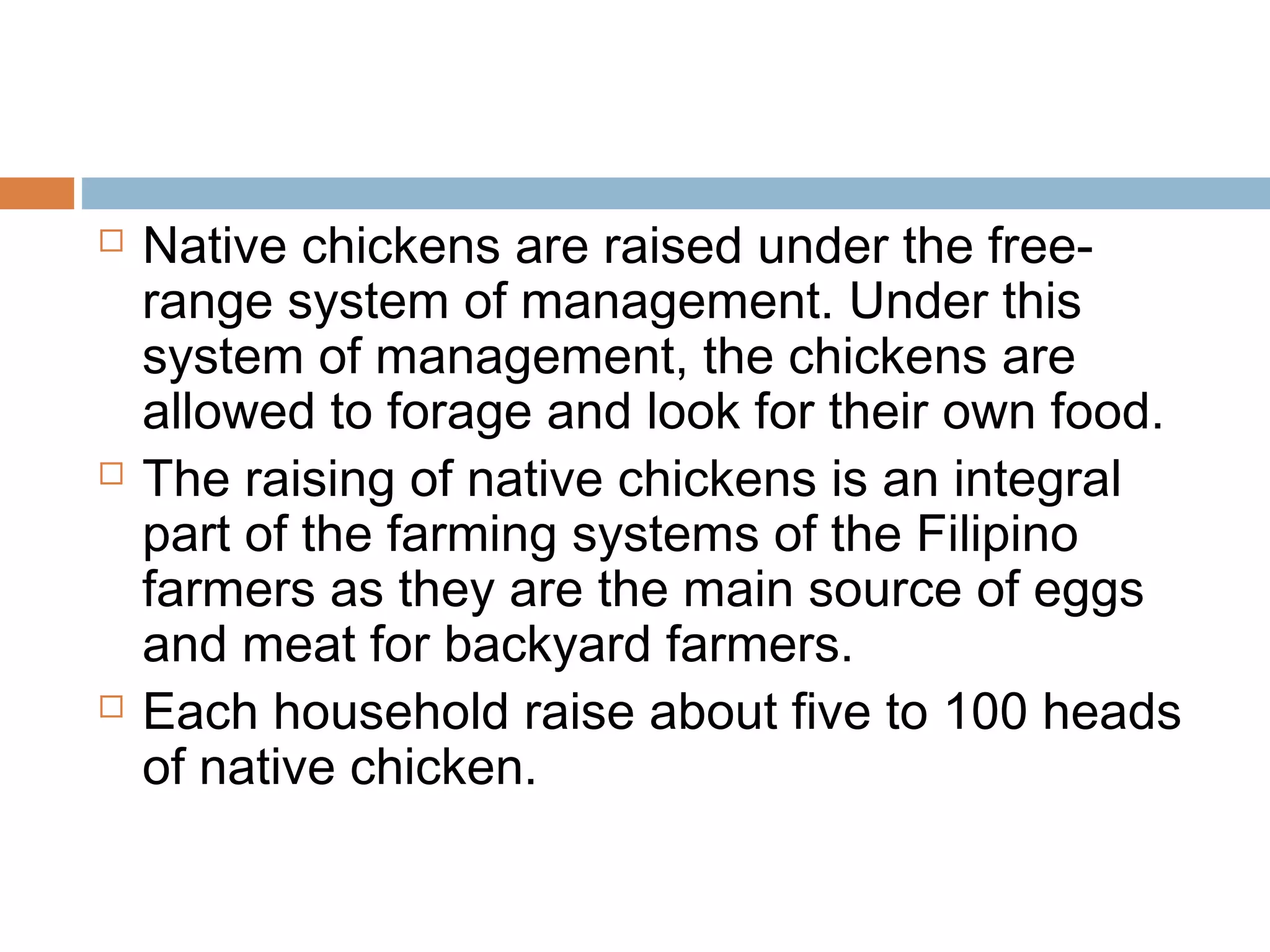 Chicken Production Business proposal entrepren. | PPT