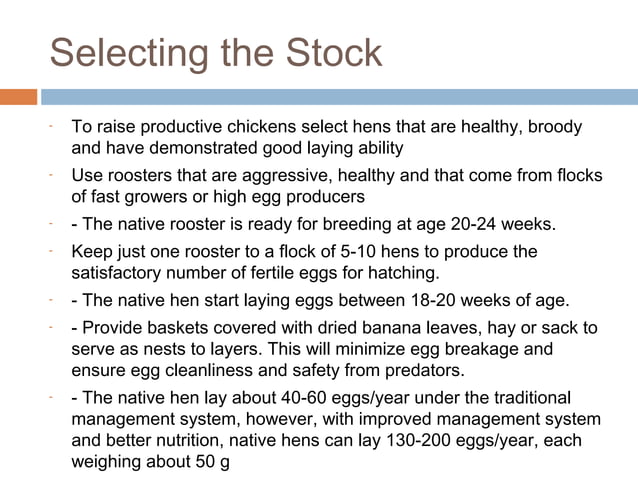 Chicken Production Business proposal entrepren. | PPT