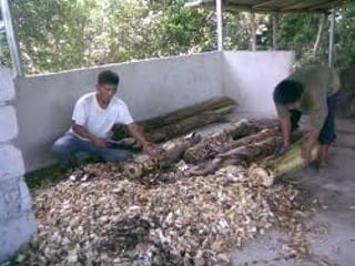 Chicken Production Business proposal entrepren. | PPT