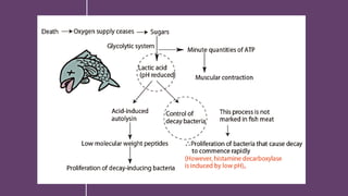 Sea food poisoning and causes sea food poisoning | PDF | Food Allergies ...