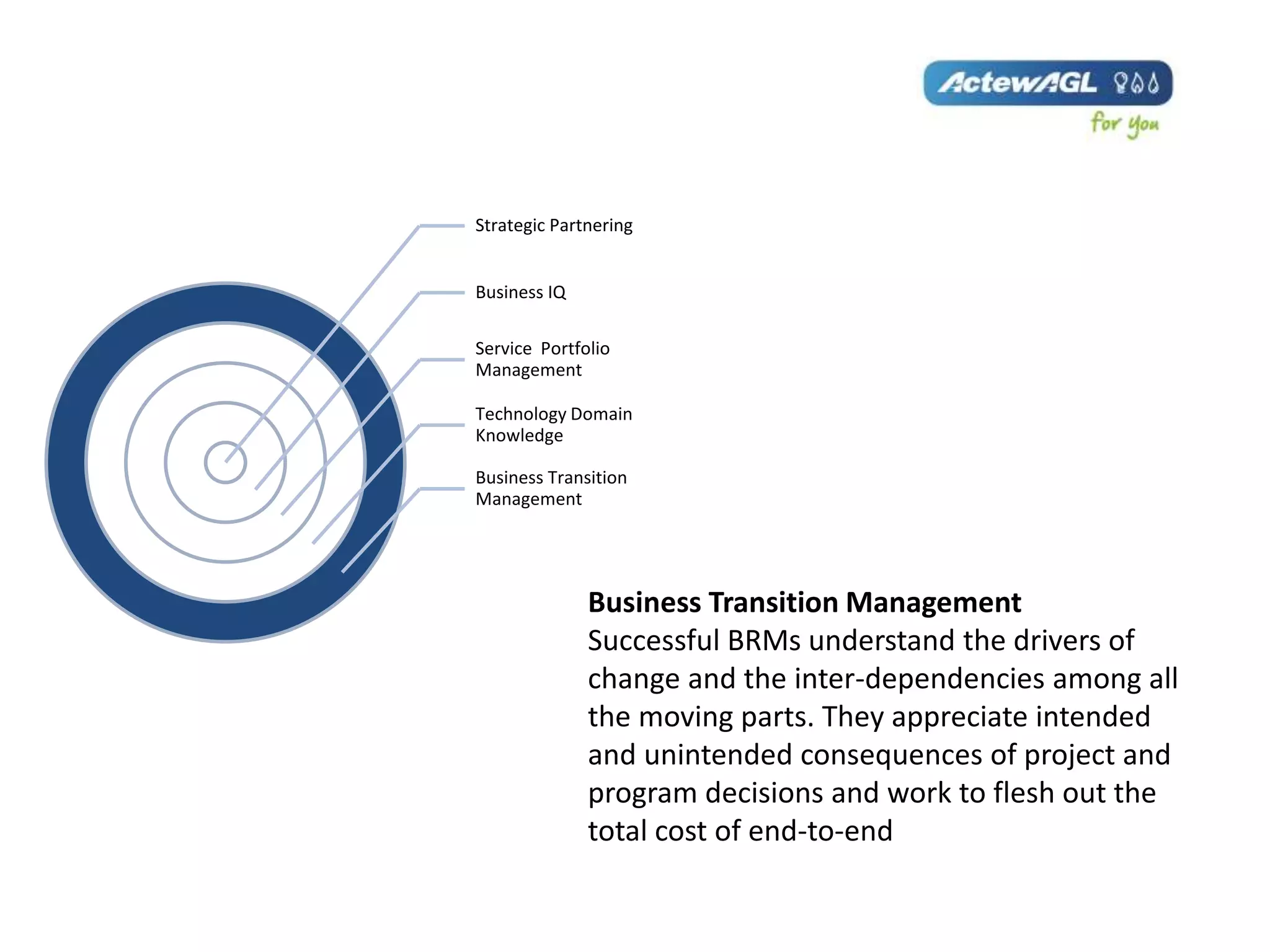 Defining the Business Relationship Manager Role within IT Departments ...