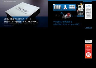 AZAPA Business Report | PDF