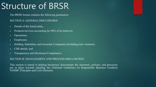 Business Responsibility Report.pptx