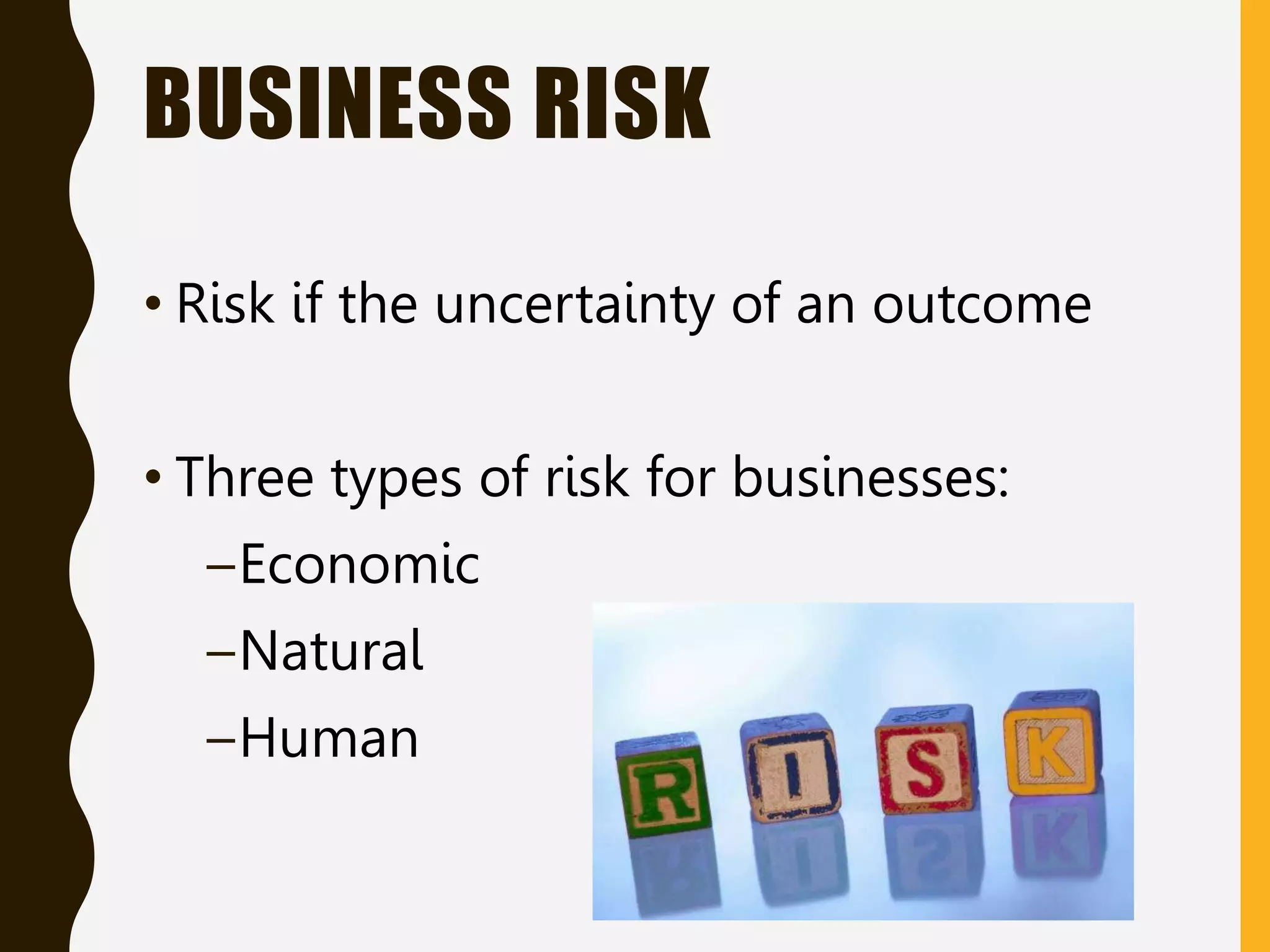 Business Risk.pptx
