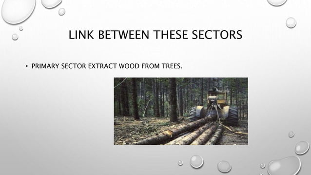 Business sectors slideshare | PPTX | Economy | Business and Finance