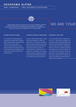 Business segment | PDF