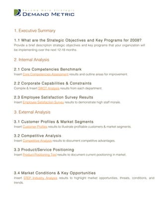 Business Strategy Plan | DOC